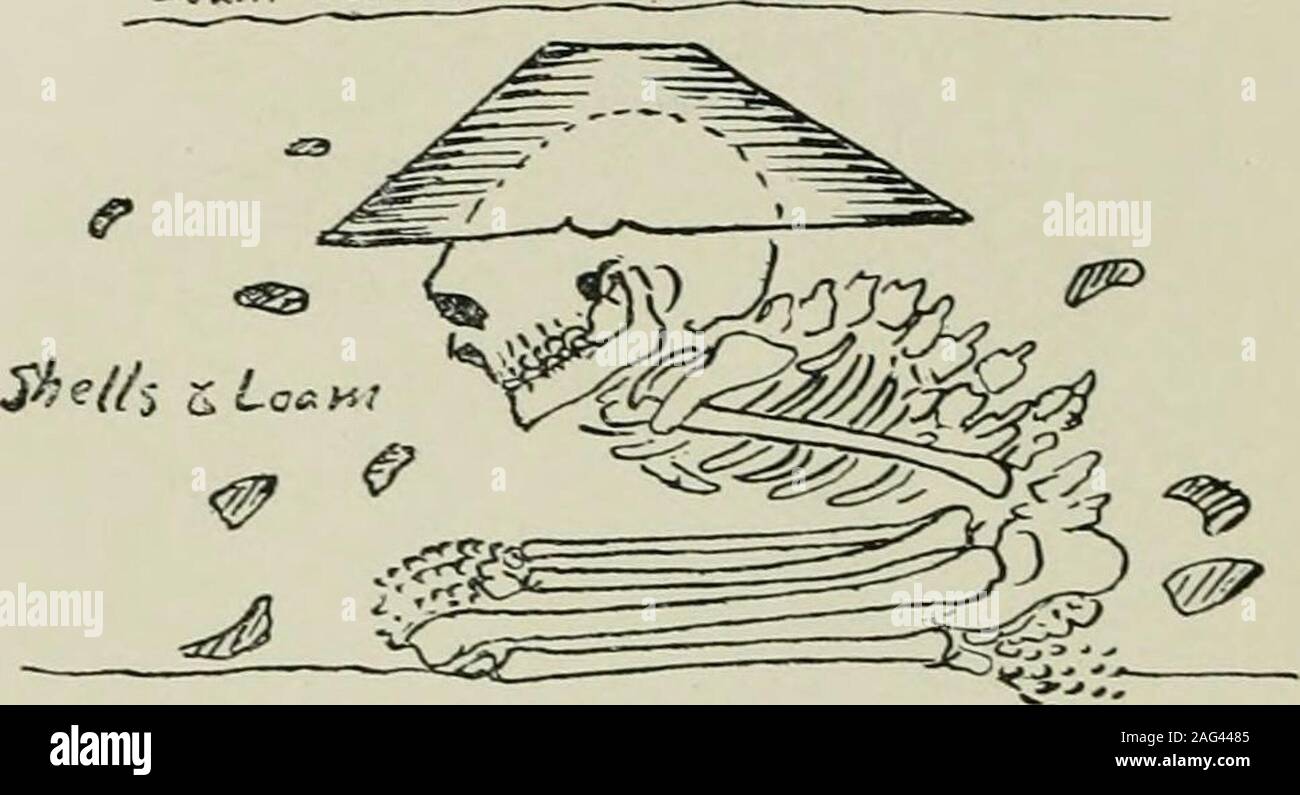 . Timehri. 10. Skull from Akawabi Hill. 11. Vessel Covering the Skull ...