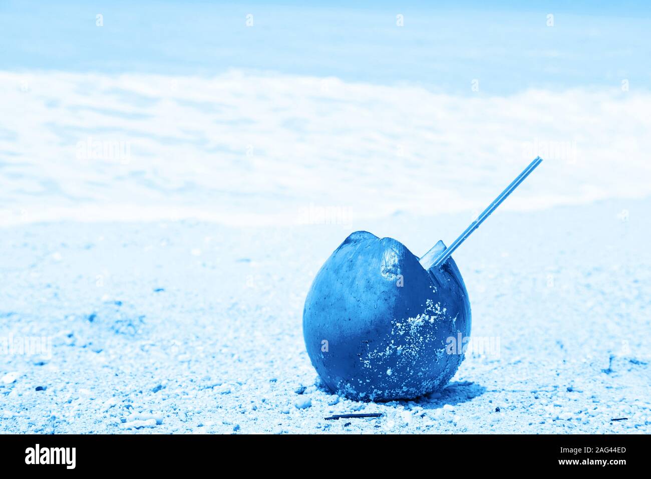 Fresh coconut on the beach. 2020 trendy color background. Classic blue ...