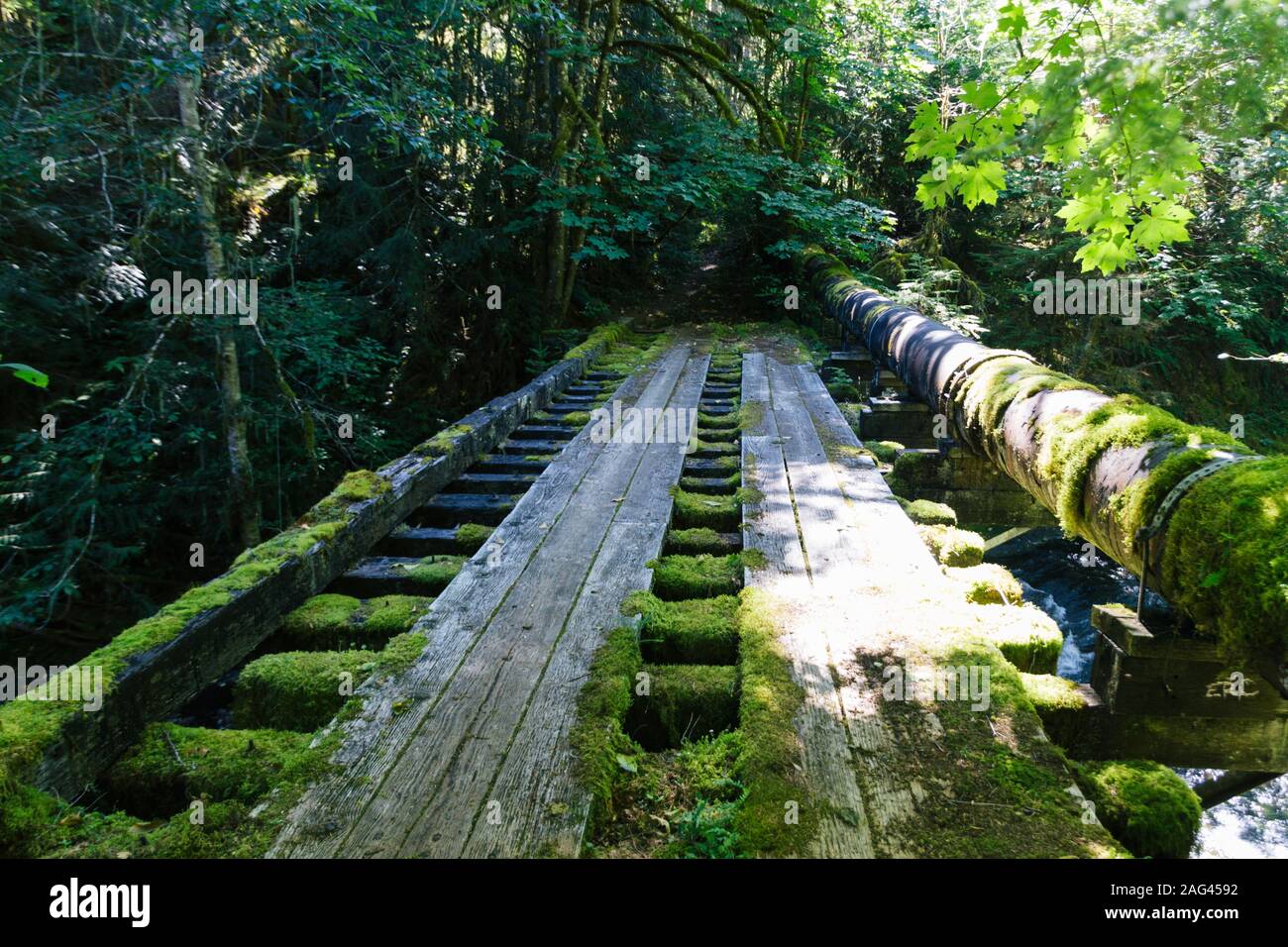 Breathtaking scenery of a beautiful bridge over a river in the middle ...