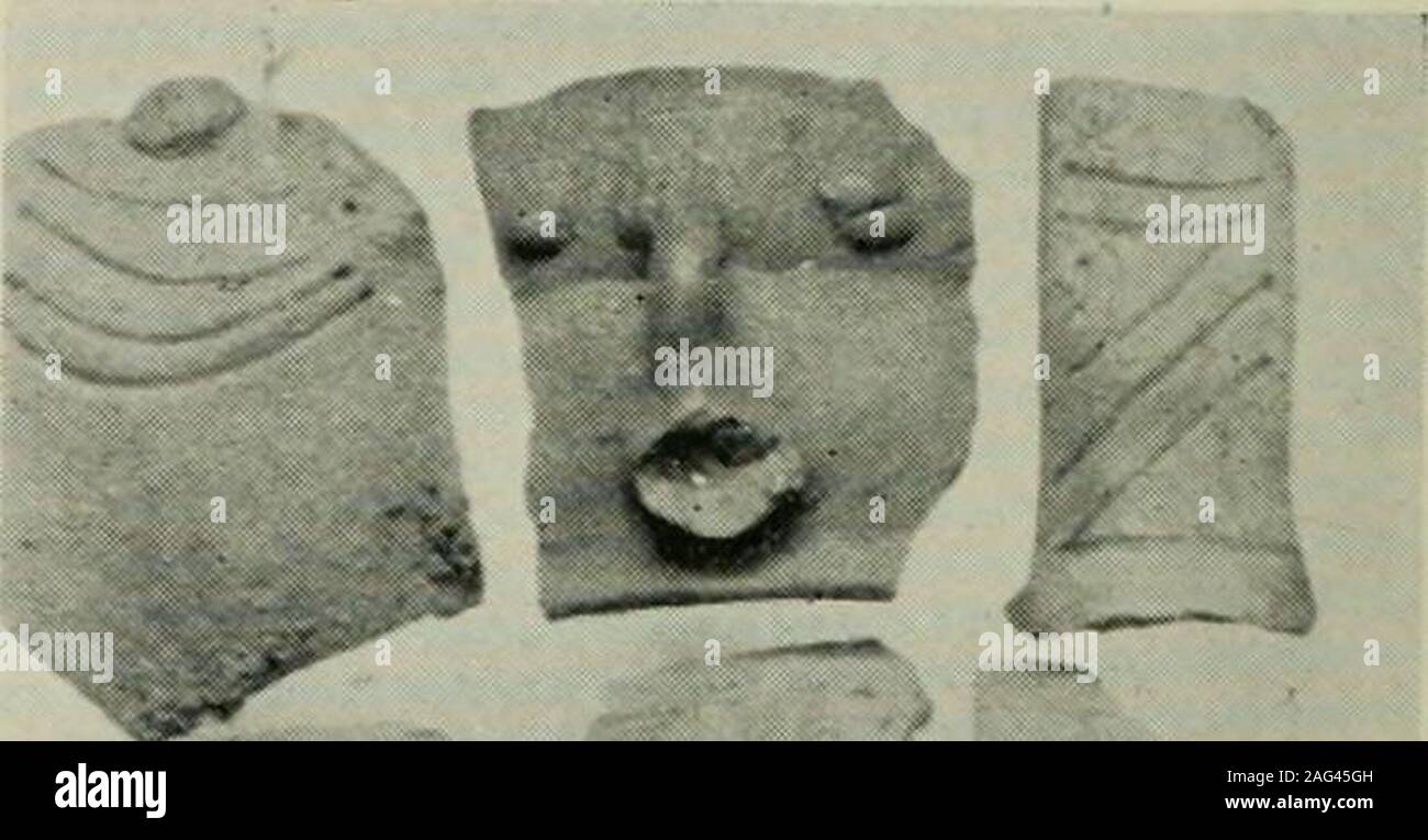 . Timehri. .. Stunk Implements, Waunina Hill.(i. Pottery from Ditto. 7 ...