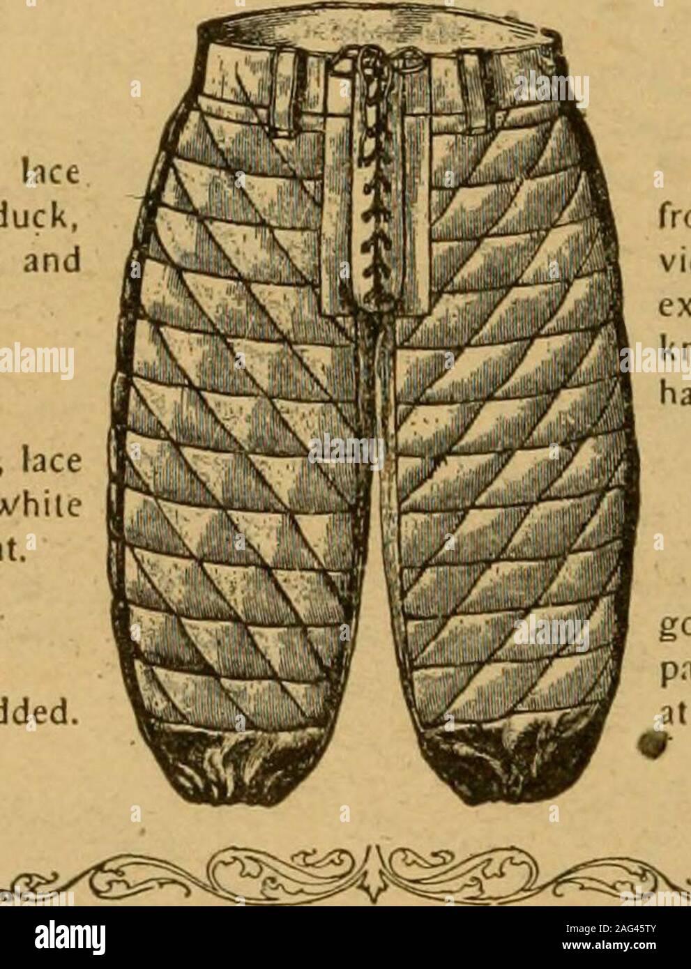 Xp standard hi-res stock photography and images - Alamy