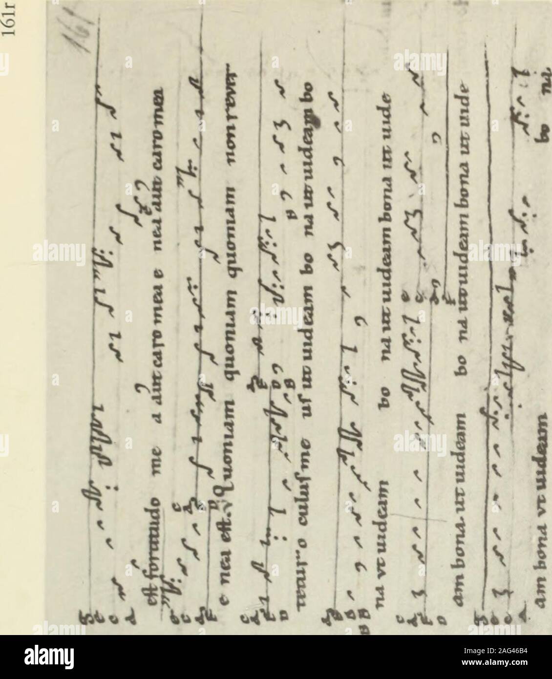 S gallican hi-res stock photography and images - Alamy