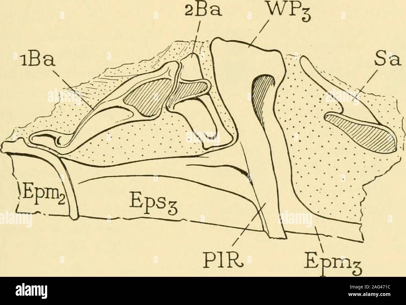 E 2 47 49 hi-res stock photography and images - Alamy
