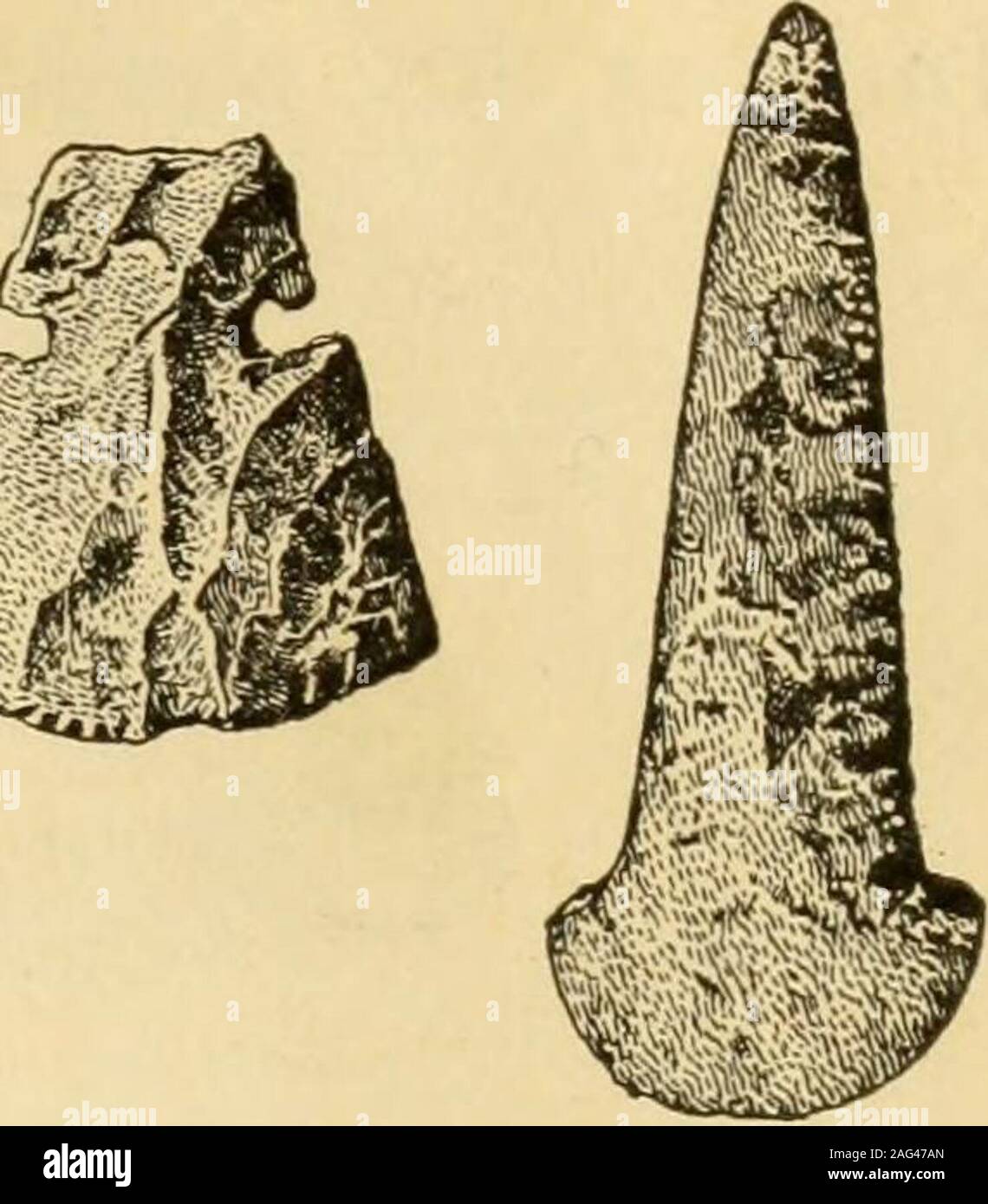 Hogsheads hi-res stock photography and images - Alamy