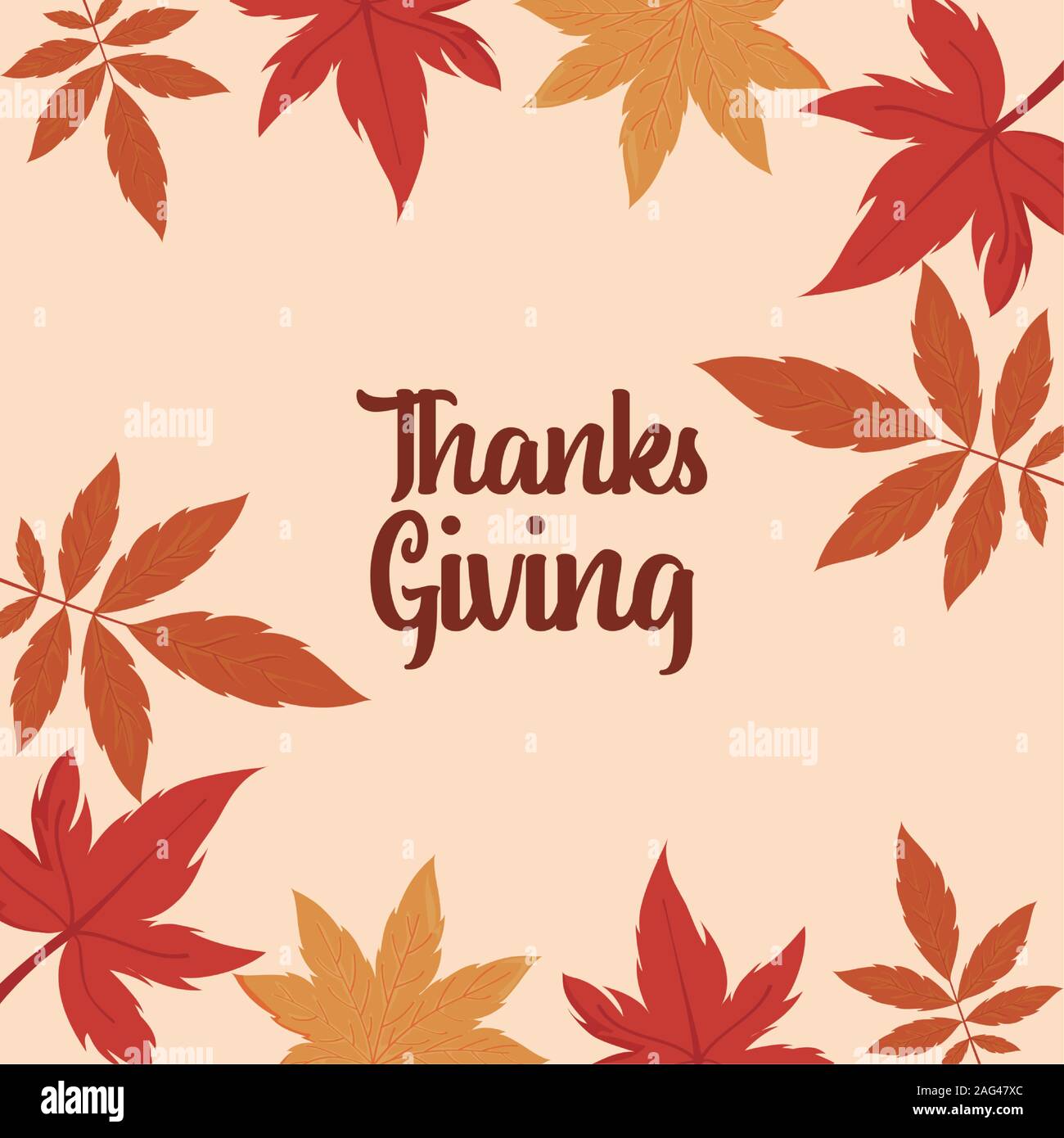 Maple leaves of thanksgiving day design, Autumn season holiday greeting ...