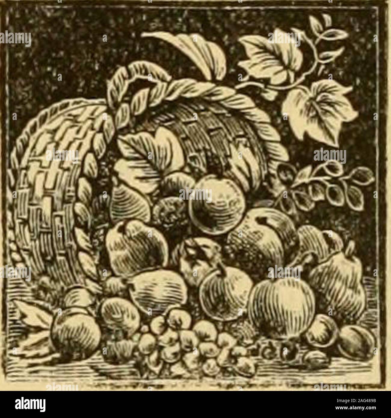 Pagesand hi-res stock photography and images - Alamy