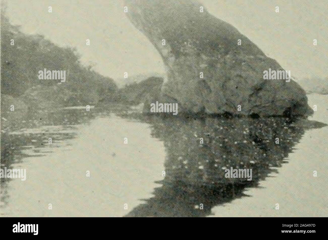 . Timehri. (15 Stock Photo - Alamy