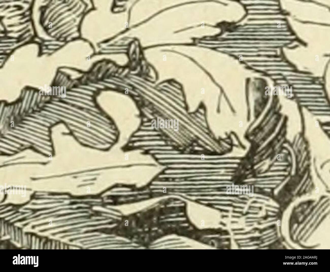 Huit signes hi-res stock photography and images - Alamy