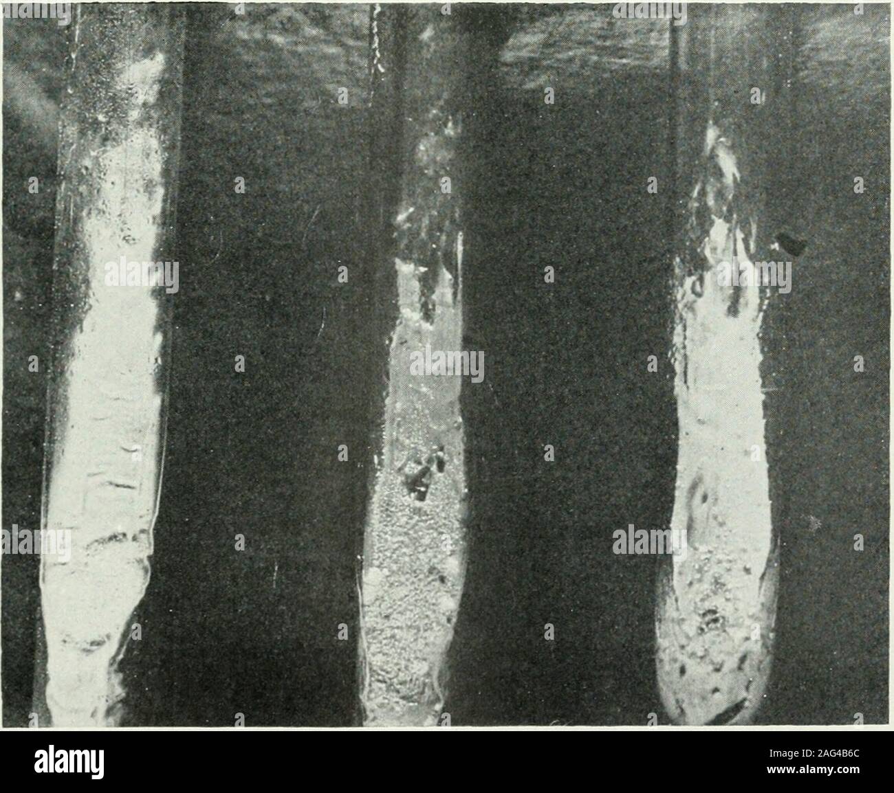 Psilosis hi-res stock photography and images - Alamy