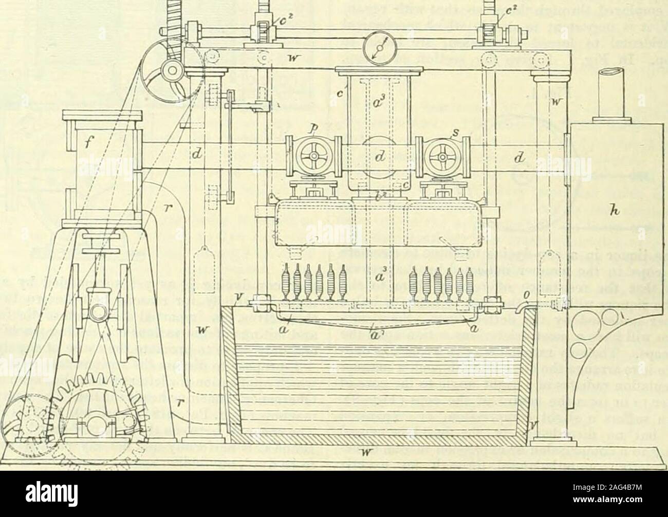 . Journal. shaped receptacle. The latter is divided into chambers ...