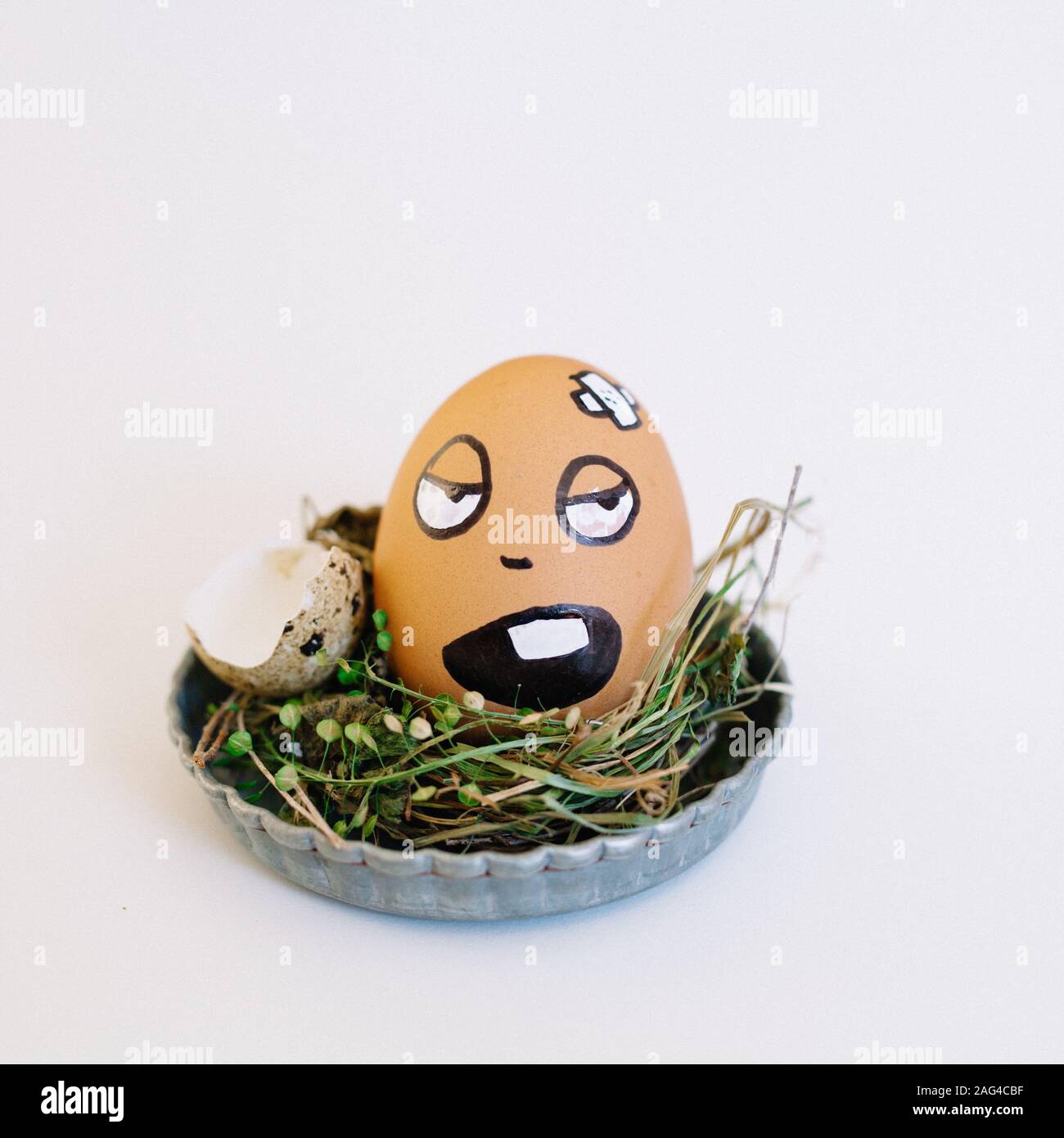 Injured rabbit hi-res stock photography and images - Alamy