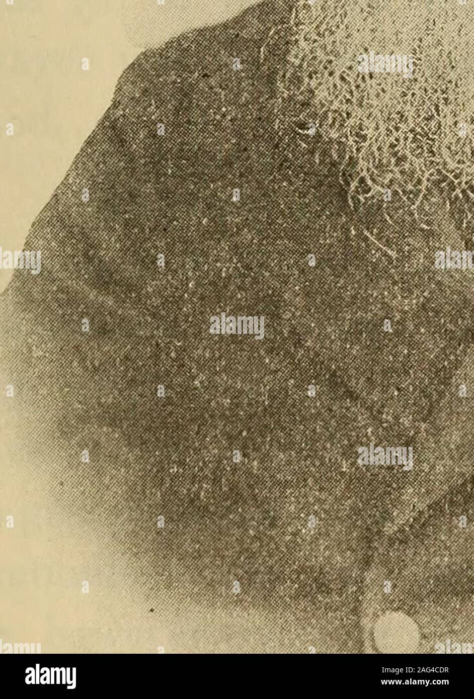 James hudson taylor hi-res stock photography and images - Alamy