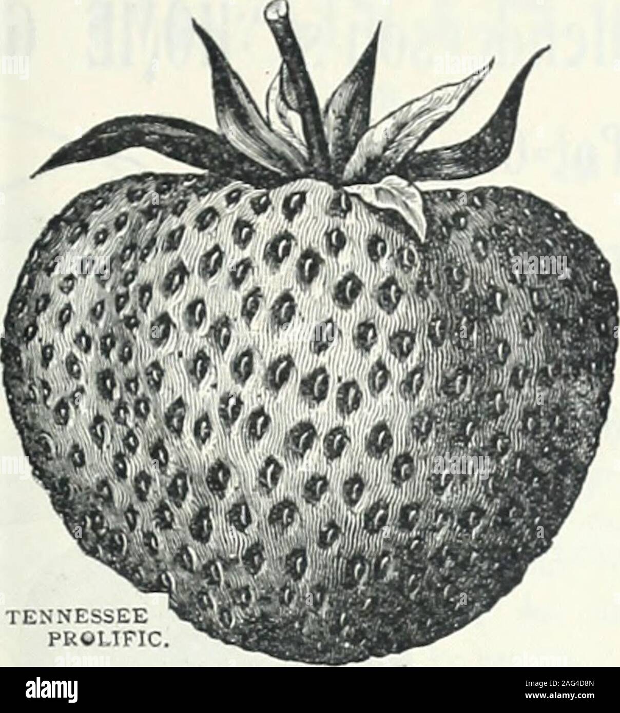 Xceed hi-res stock photography and images - Alamy