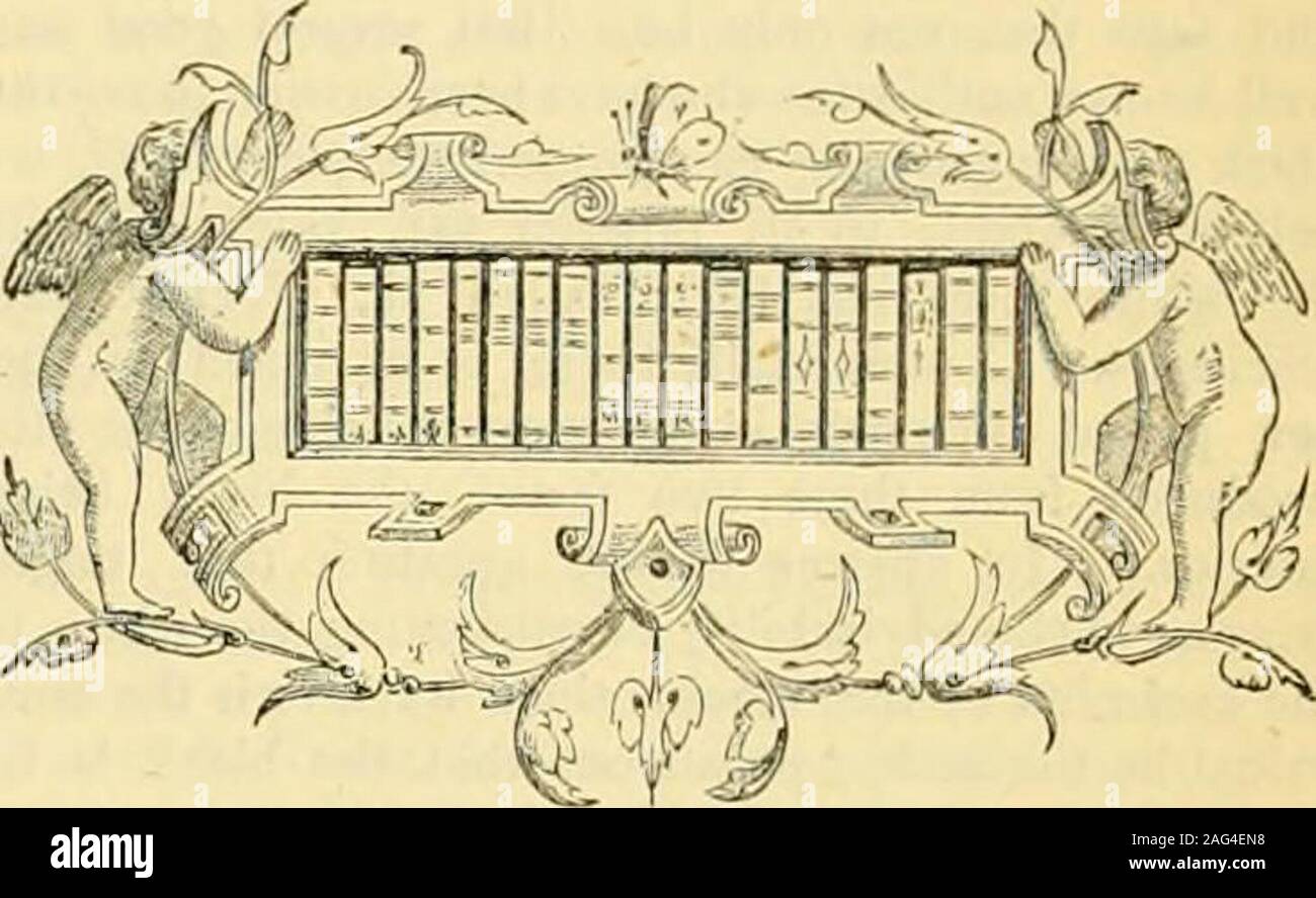 Timber pit props hi-res stock photography and images - Alamy