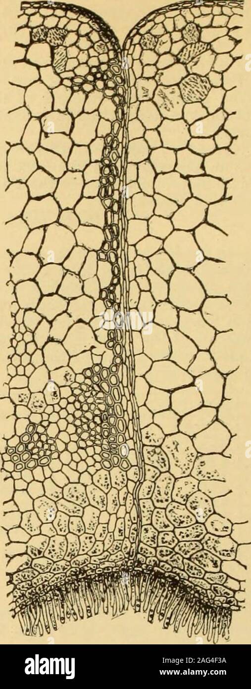 Spiralmarkings hi-res stock photography and images - Alamy