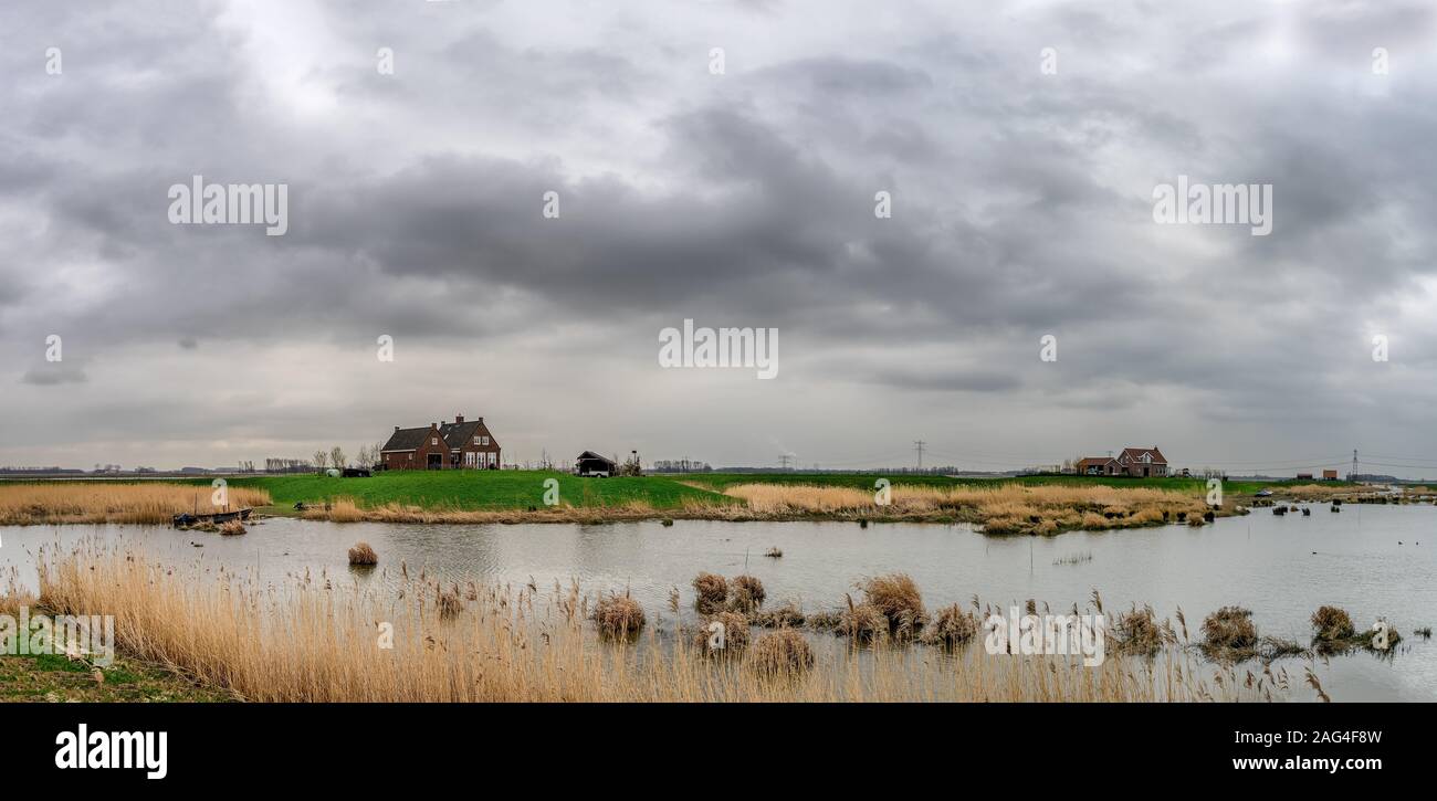Polder landscape with houses behind the Merwede river dikes Stock Photo ...