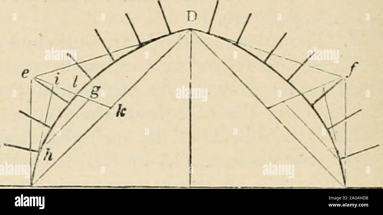 . An encyclopaedia of architecture, historical, theoretical ...