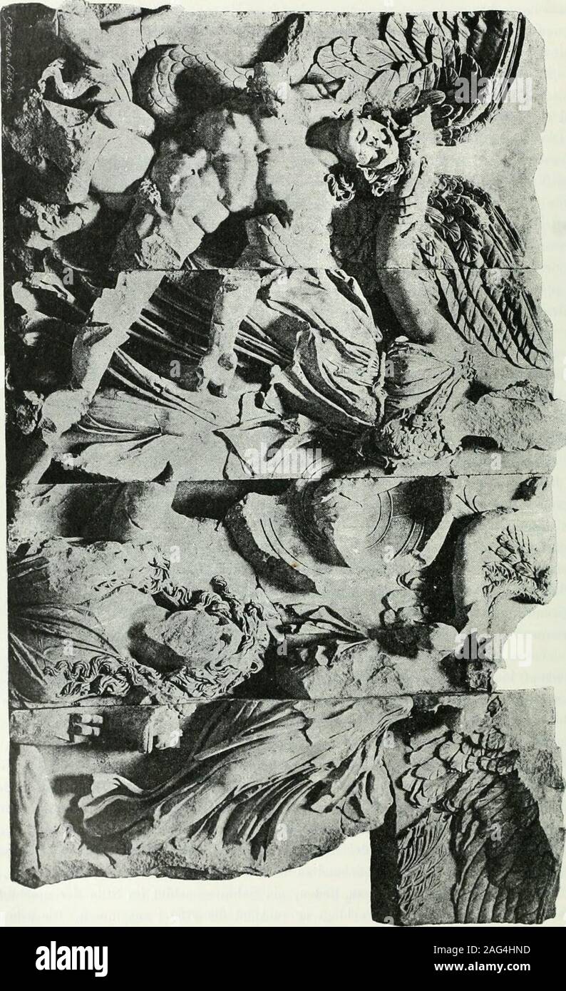 Zeus der adler hi-res stock photography and images - Alamy