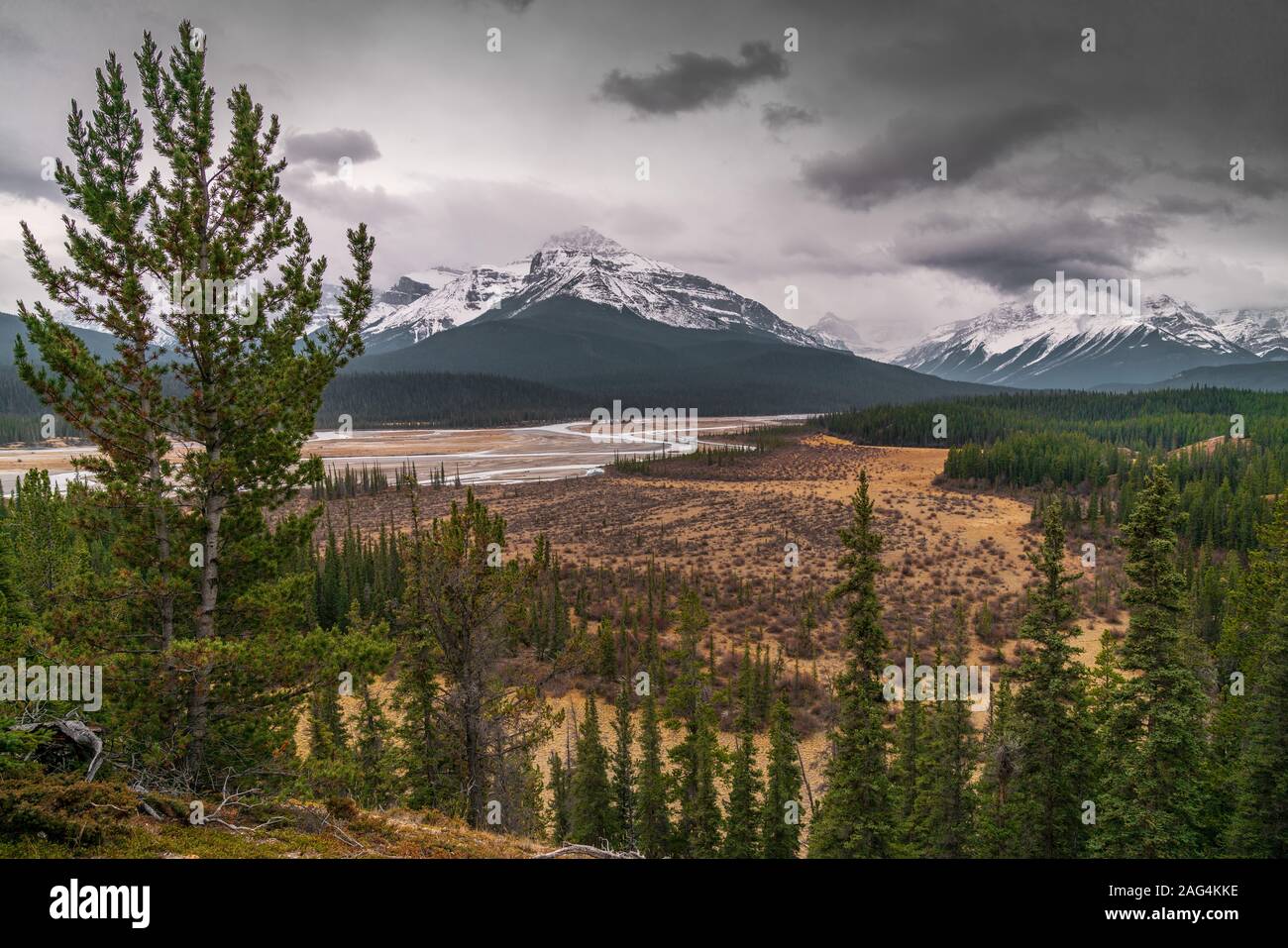 High angle shot of a beautiful nature scene with a valley surrounded by ...