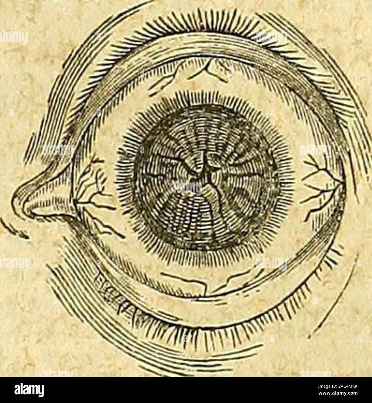 Circumference and straight lines hi-res stock photography and images ...
