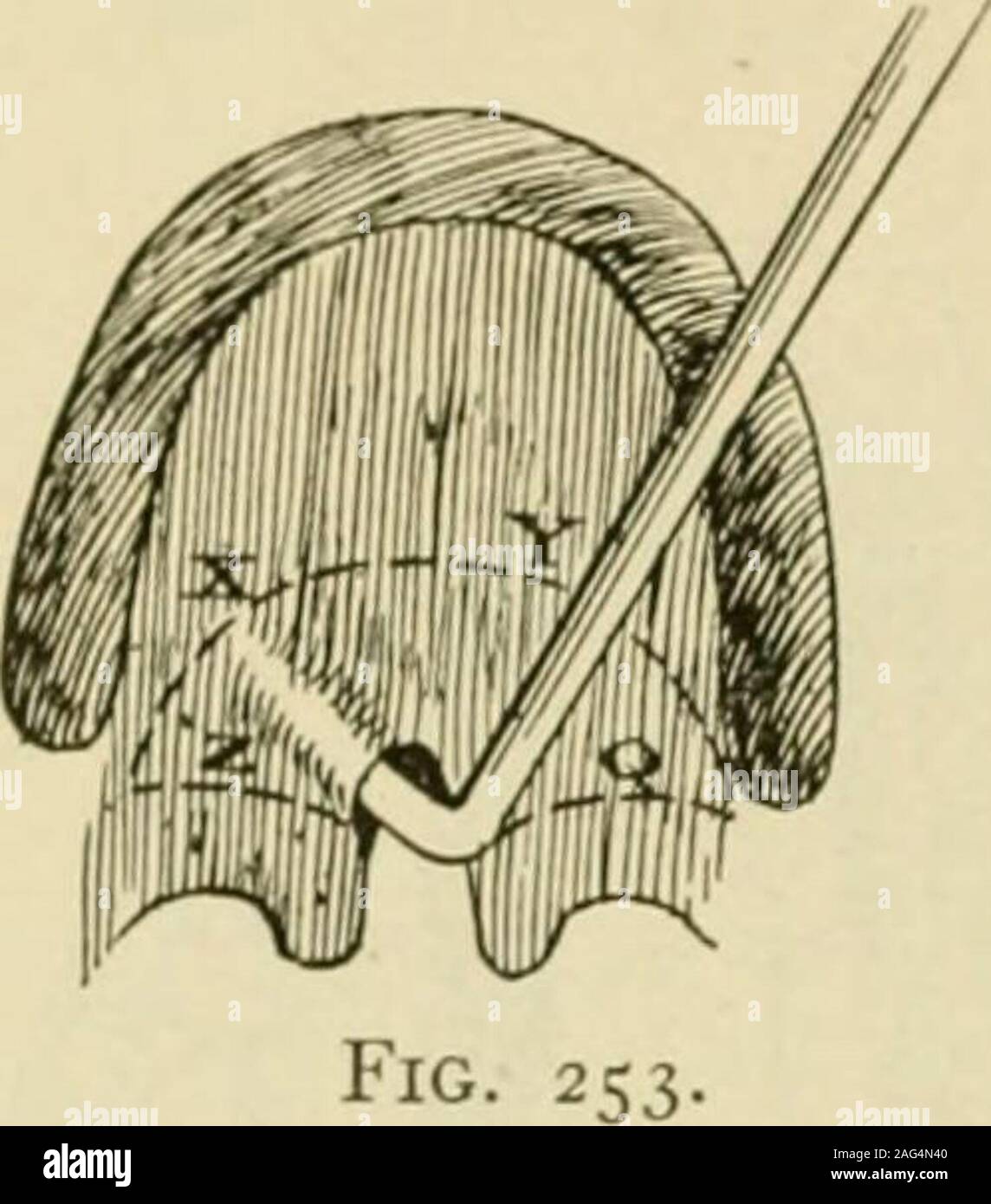 Deration hi-res stock photography and images - Alamy