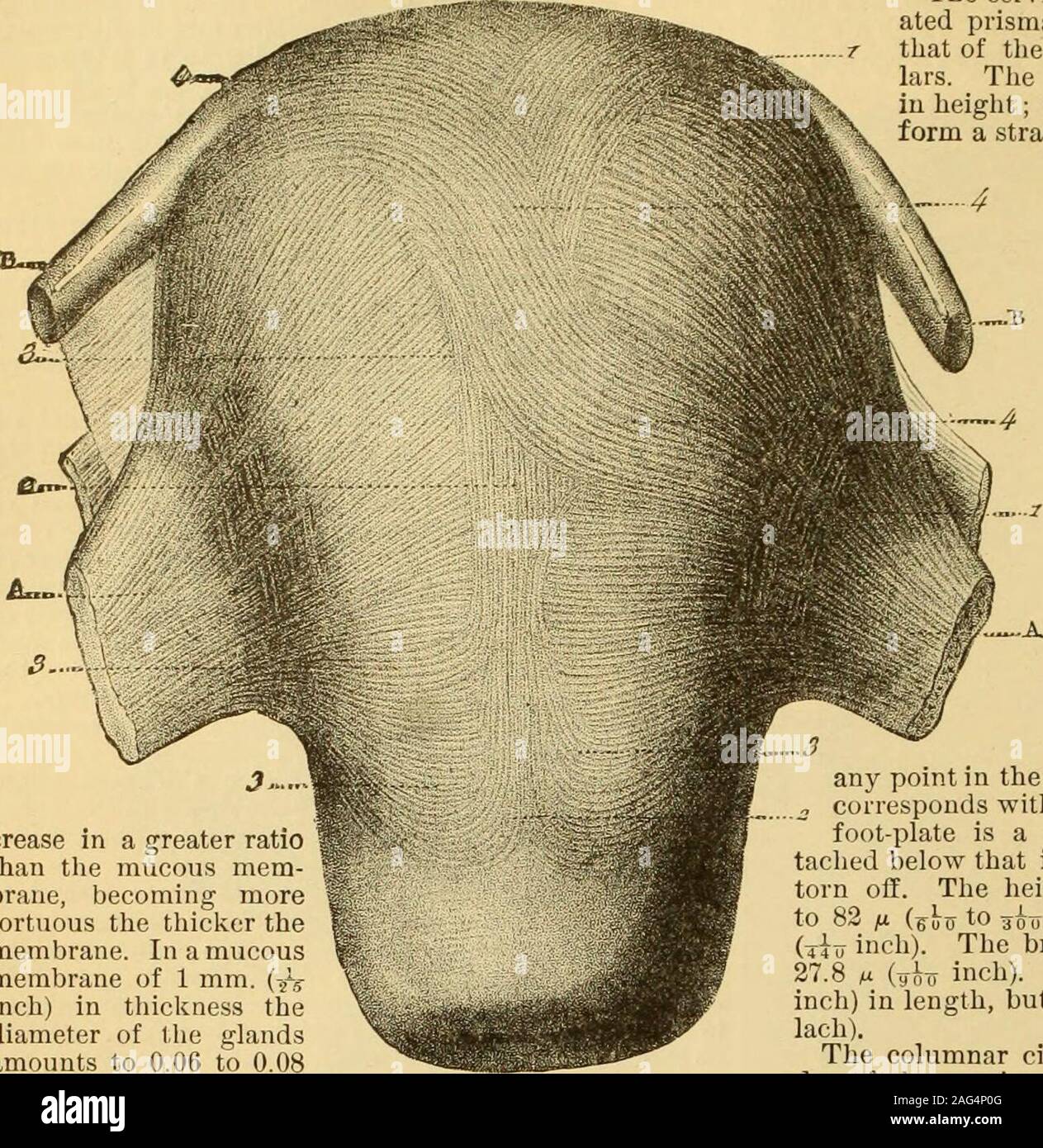 Granular mass hi-res stock photography and images - Alamy