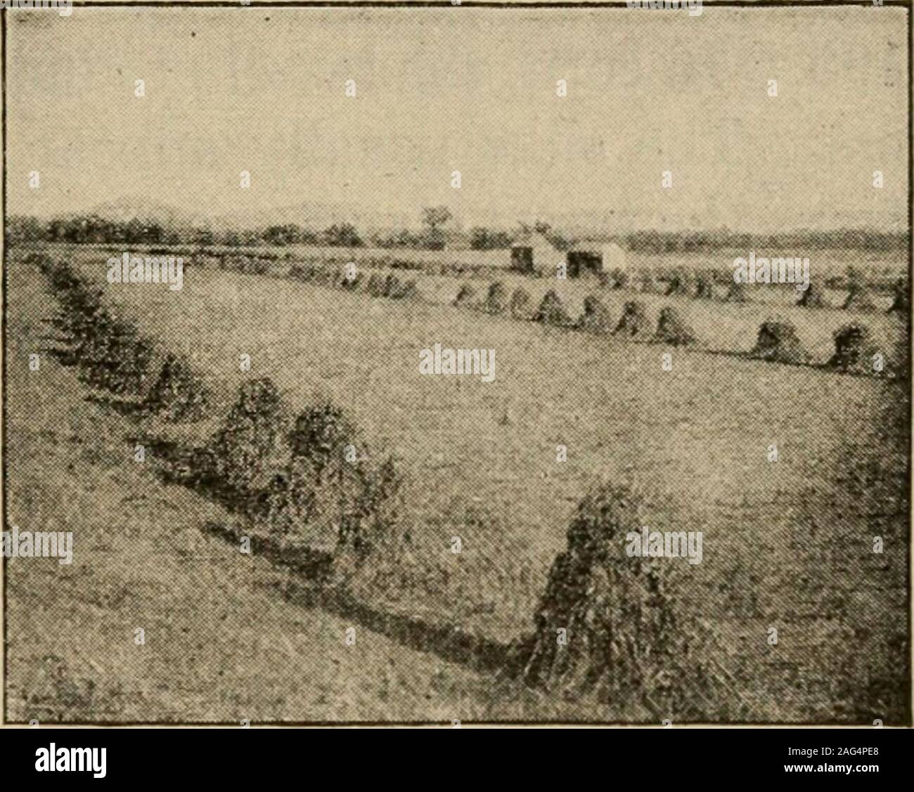 Early civilization north america hi-res stock photography and images ...