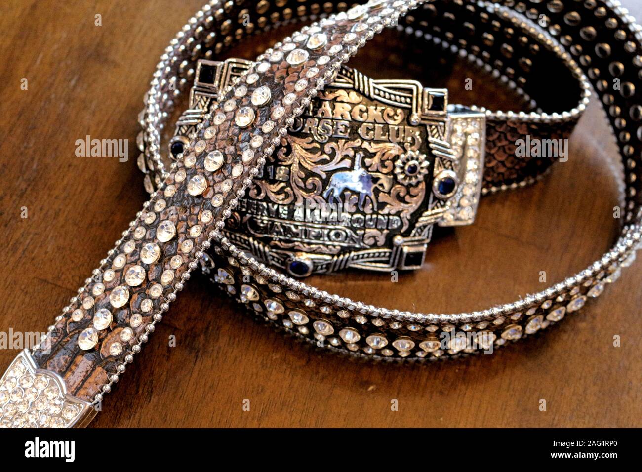 Western Trophy All Around Belt Buckle on Brown Rhinestone Bling Belt ...