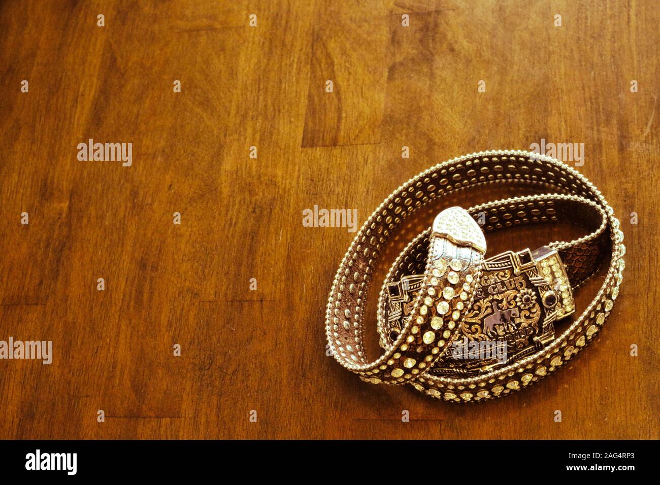 Western Trophy All Around Belt Buckle on Brown Rhinestone Bling Belt ...