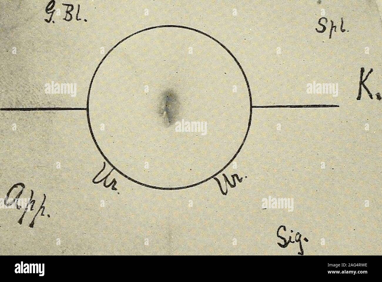 Tro circle hi-res stock photography and images - Alamy