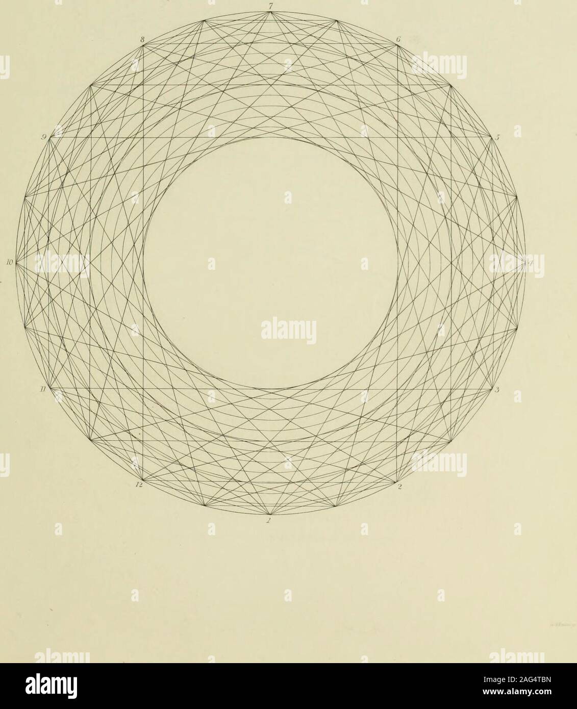. The natural principles and analogy of the harmony of form. PLATE IX ...
