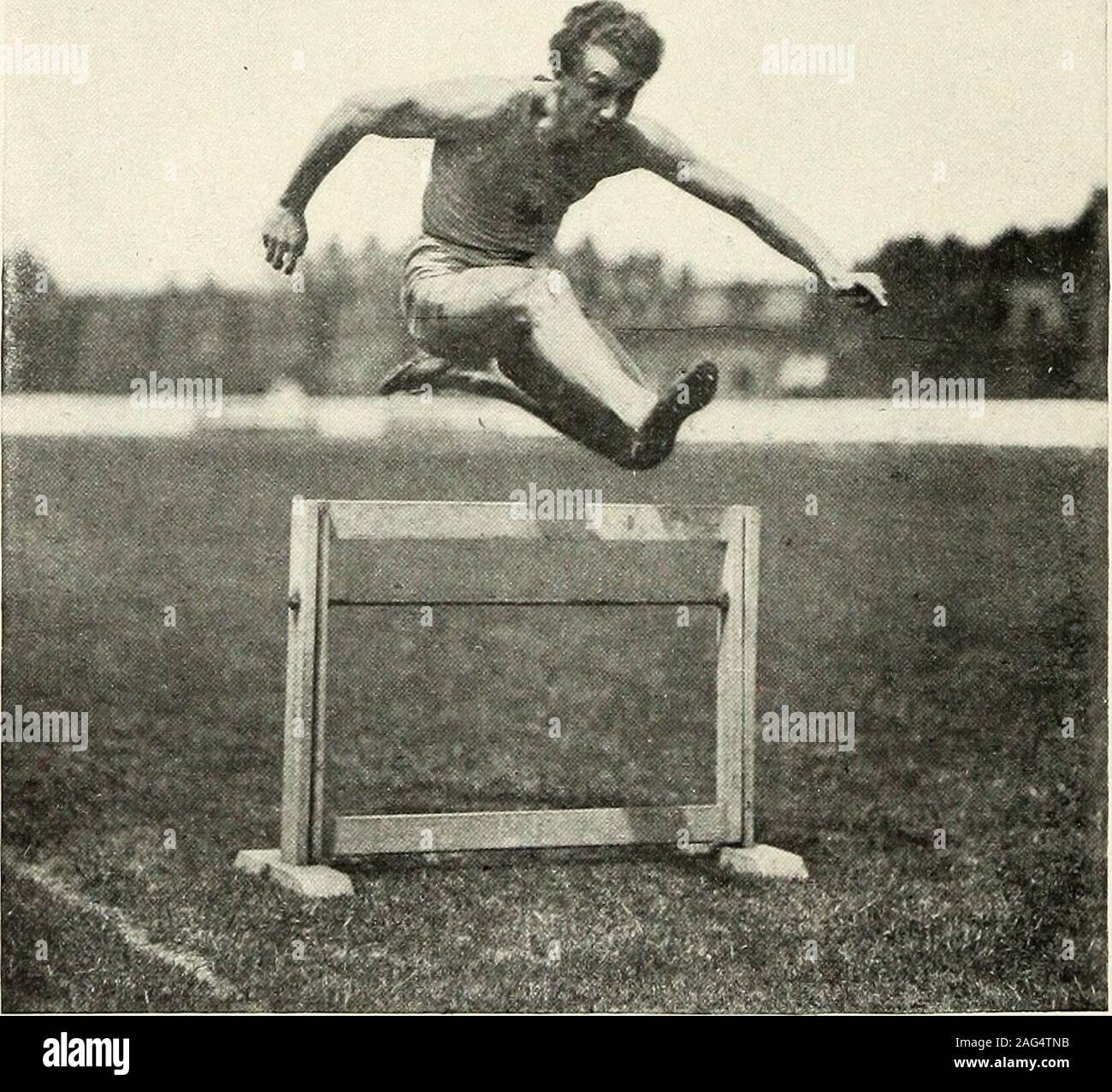 . St. Nicholas [serial]. y swing forward to hasten the flight over the ...