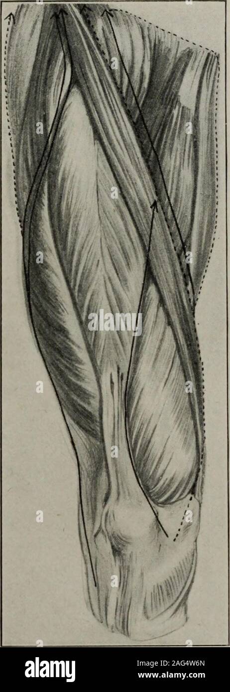 Effleurage hi-res stock photography and images - Alamy
