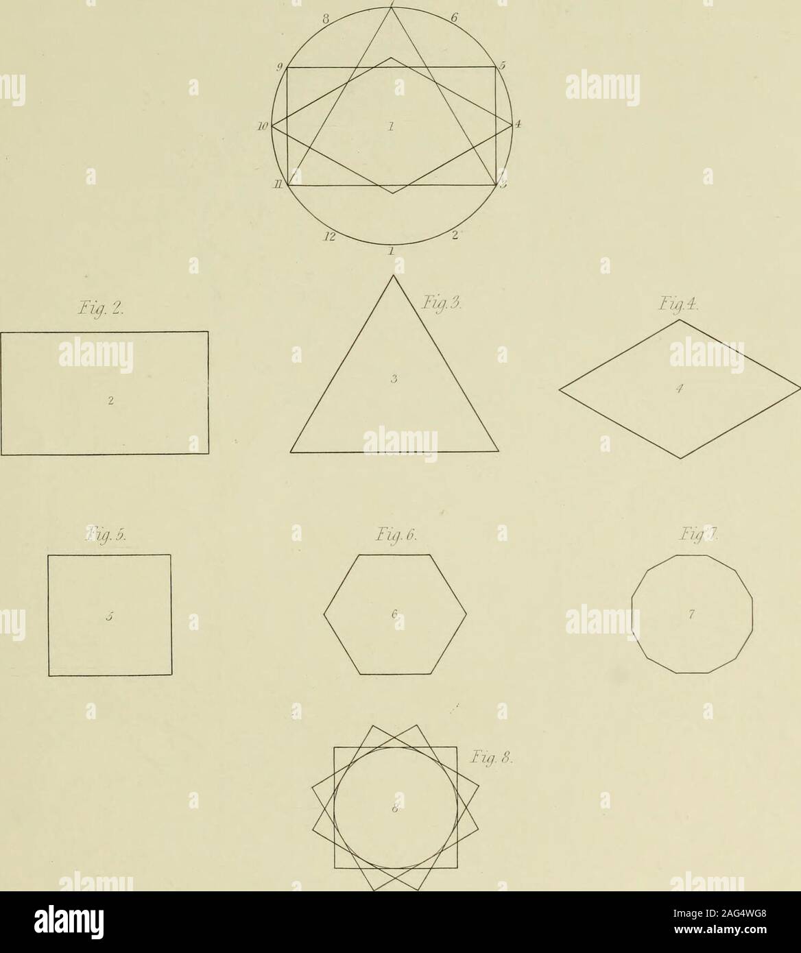 . The natural principles and analogy of the harmony of form. PLATE VI ...
