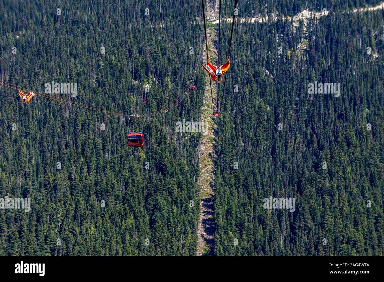 High angle shot of a cable car line riding through the forest on the ...