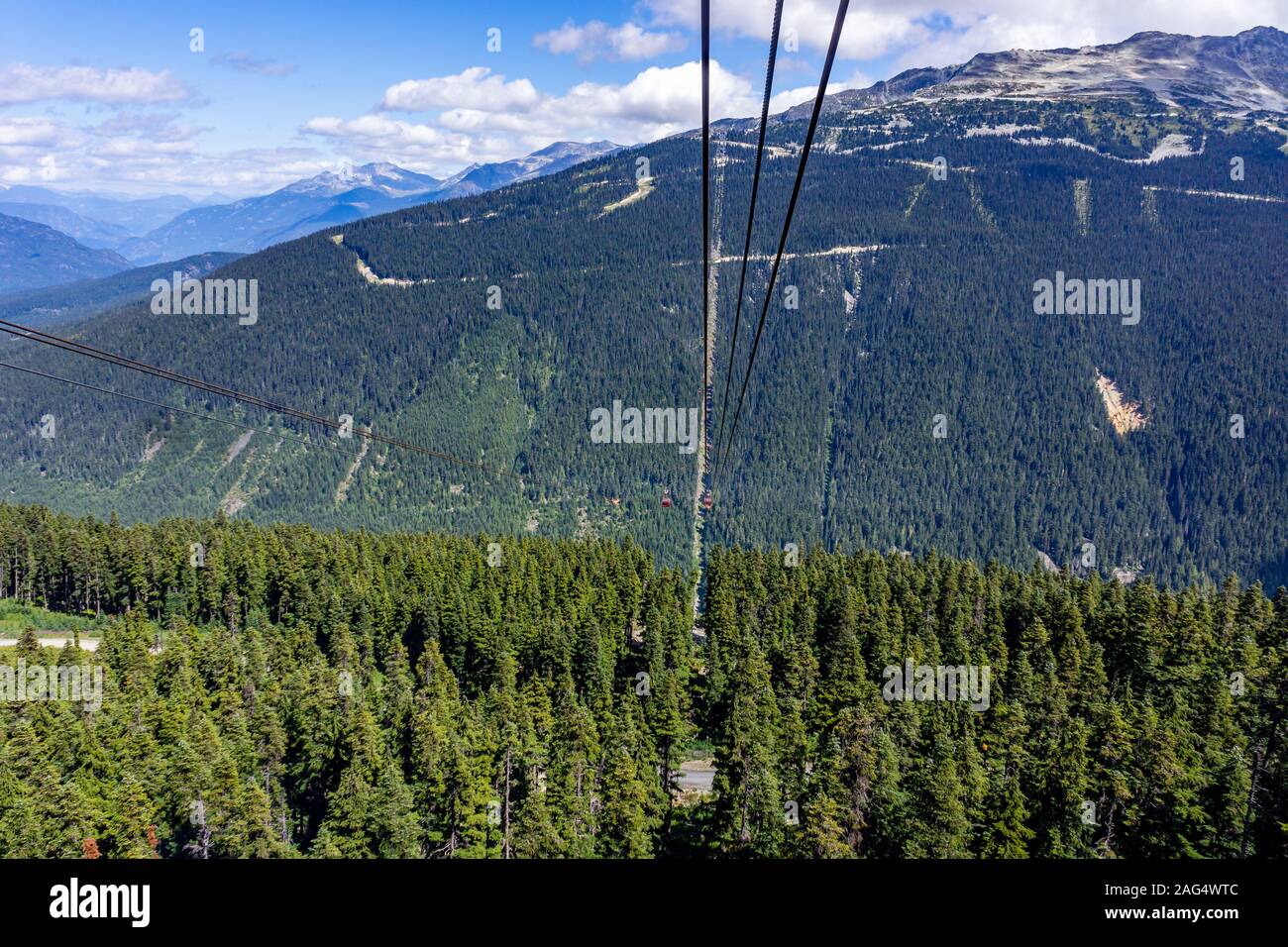High angle shot of a cable car line riding through the forest on the ...