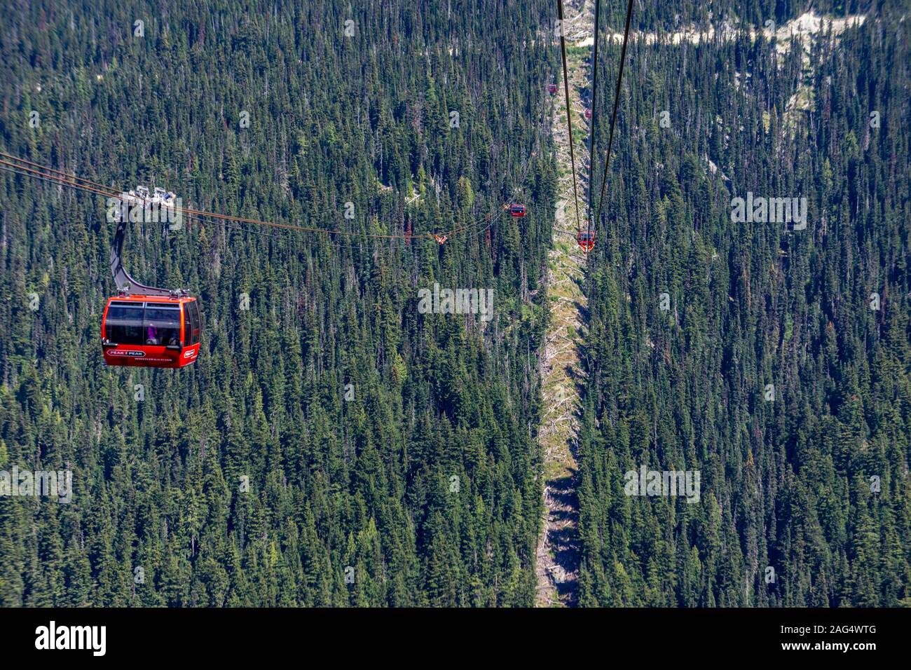 High angle shot of a cable car line riding through the forest on the ...