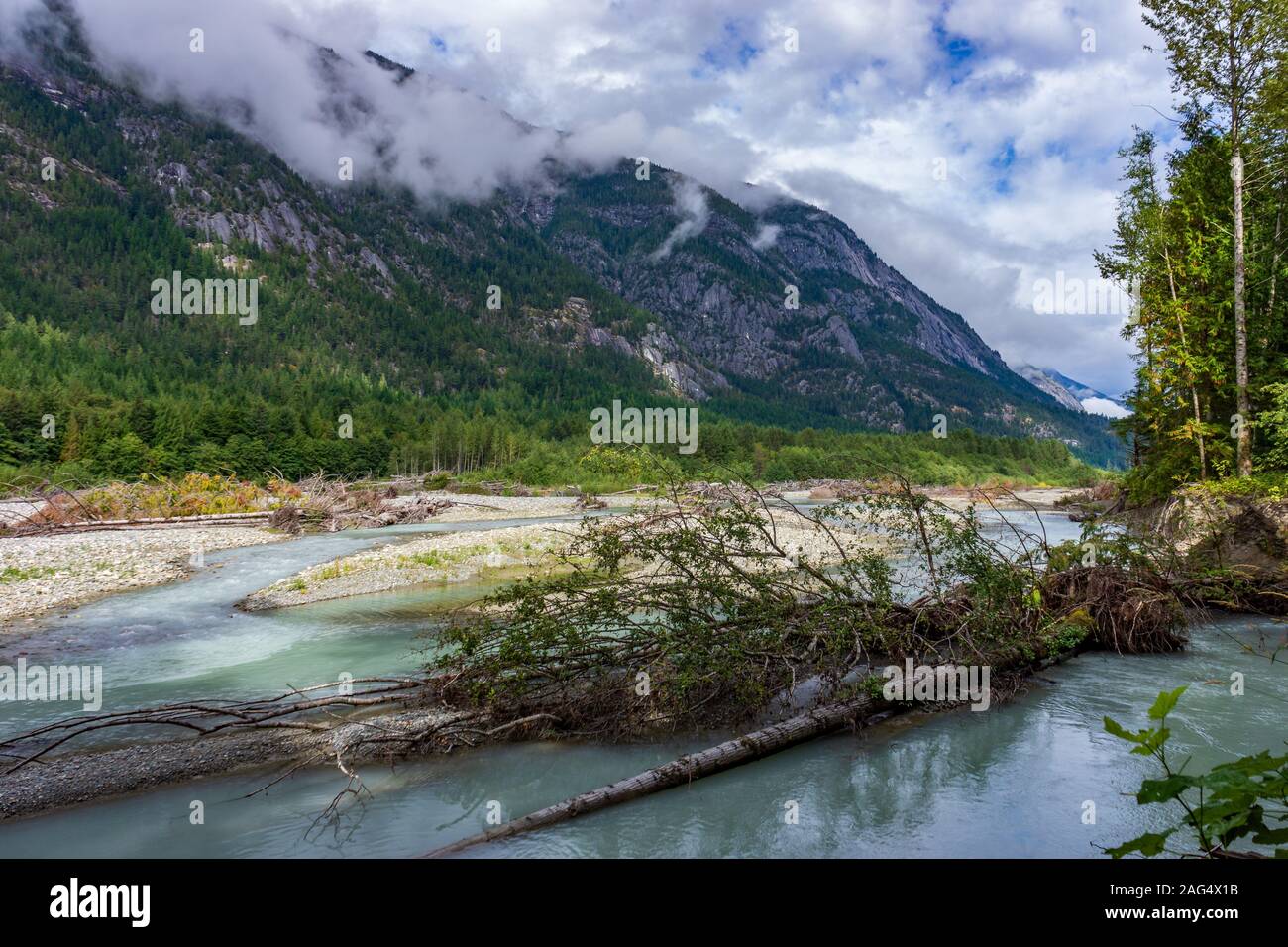 Beautiful nature scene of the Bella Coola River in BC, Canada under the ...