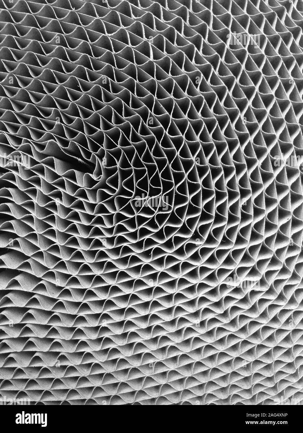 Color textured surface on Black and White Stock Photos & Images - Alamy