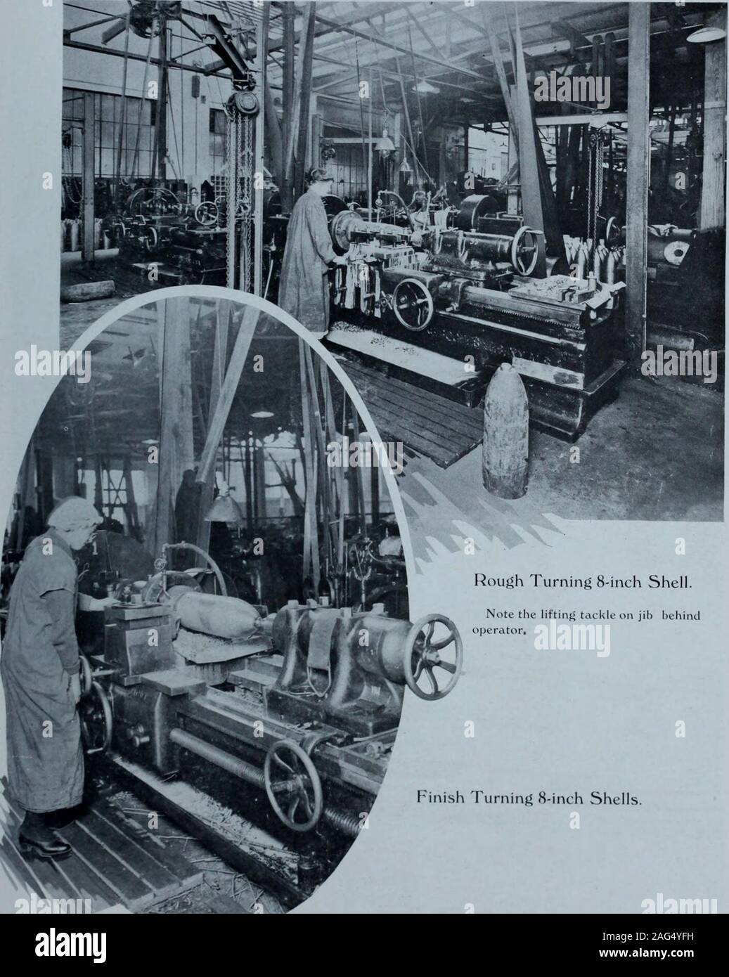 3 inch shells hi-res stock photography and images - Alamy