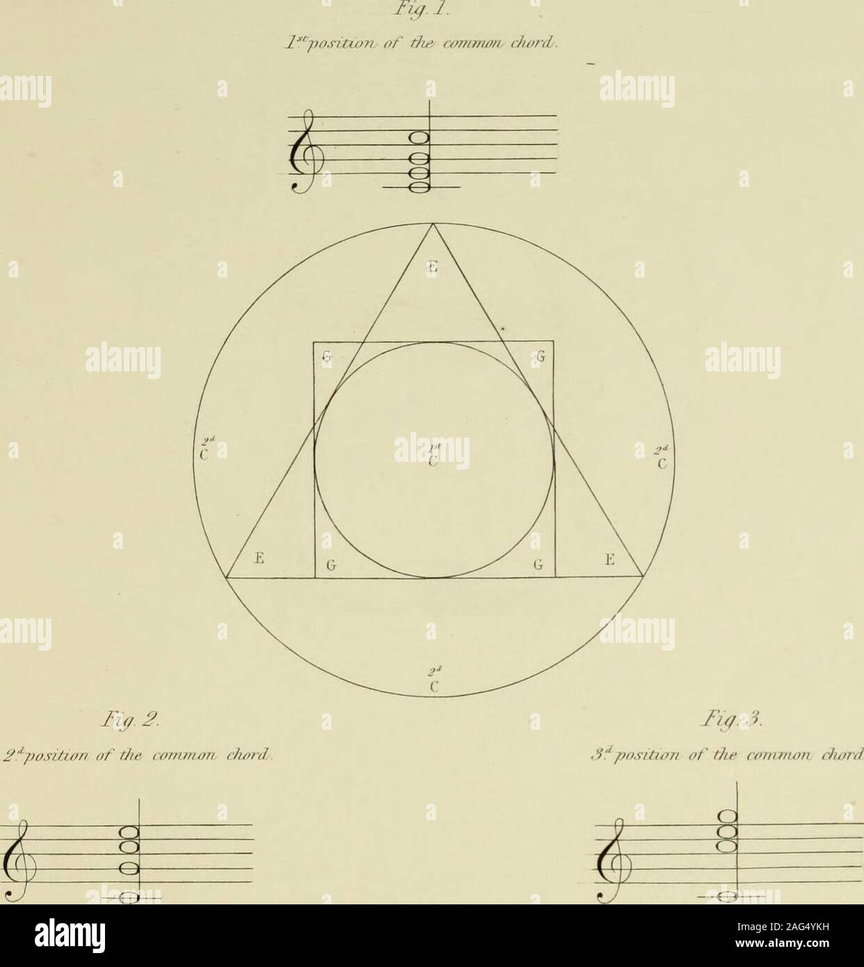 . The natural principles and analogy of the harmony of form. PLATE II ...