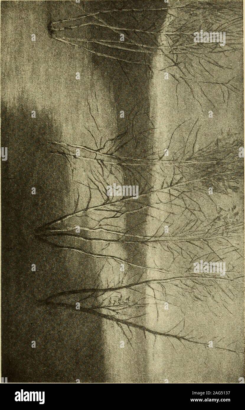 Peter bulkeley hi-res stock photography and images - Alamy