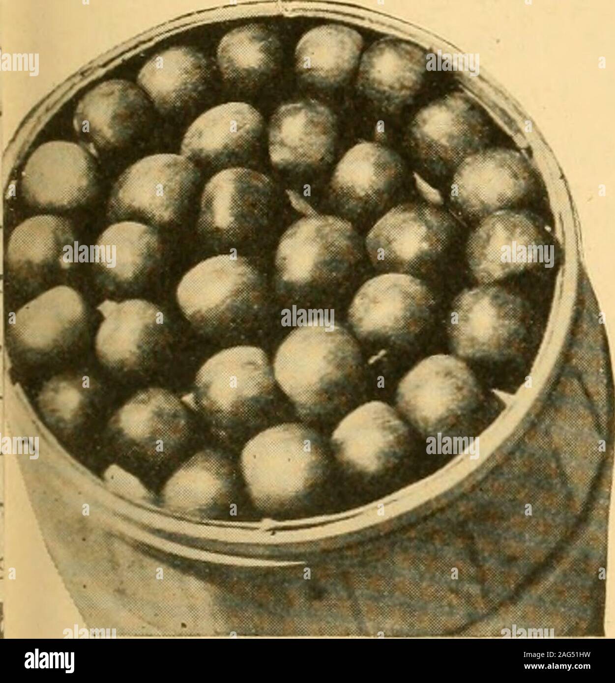 . The commercial apple industry of North America Stock Photo - Alamy