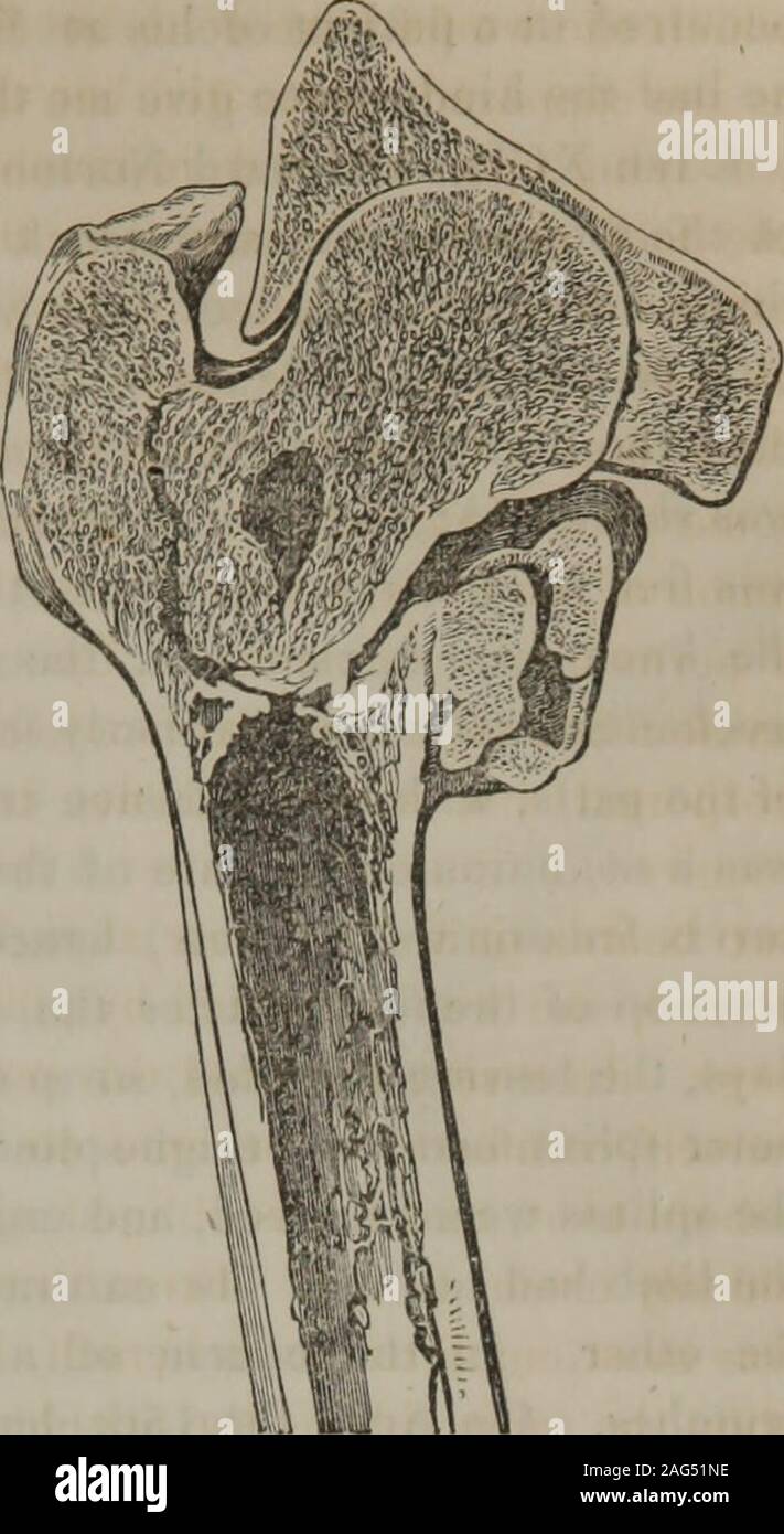 Immovable joints hi-res stock photography and images - Alamy