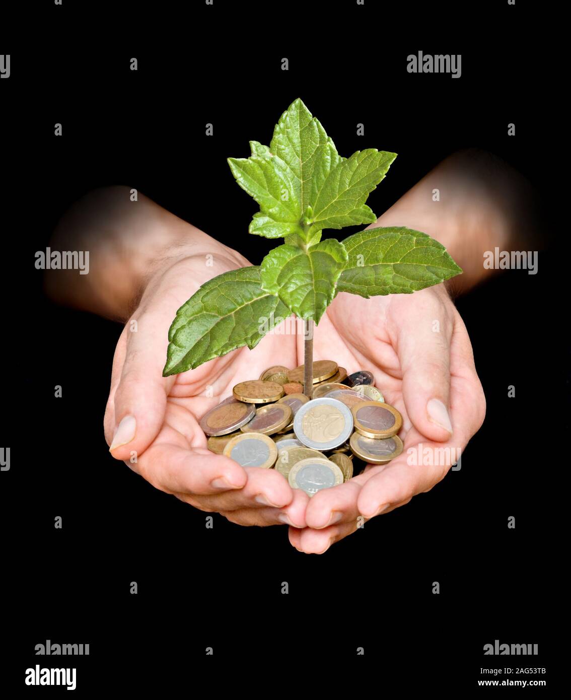 Hand with tree growing from pile of coins Stock Photo - Alamy
