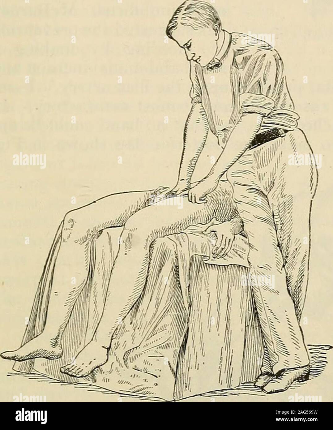 Posterior flap hi-res stock photography and images - Alamy