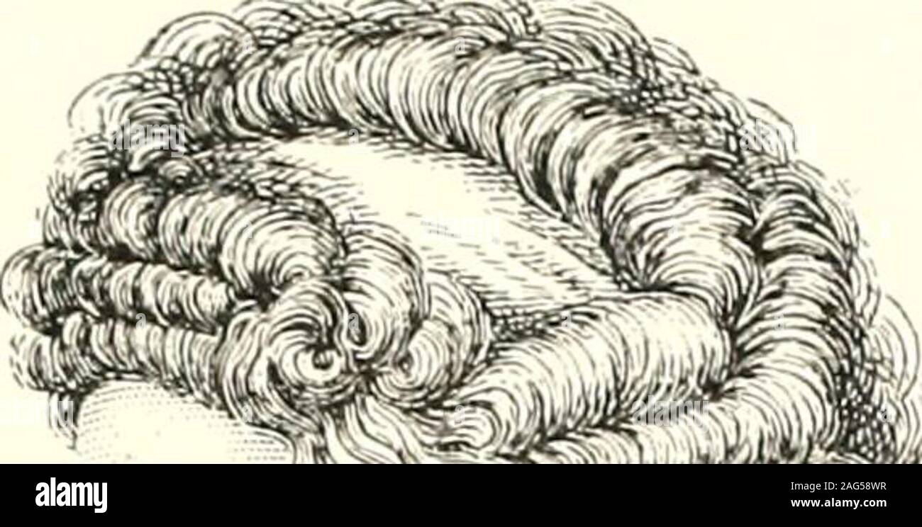 Frau von stein hi-res stock photography and images - Alamy