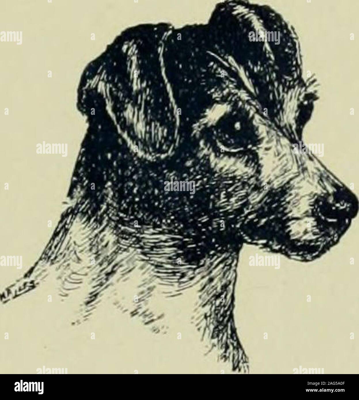 James lewis johnson hi-res stock photography and images - Alamy