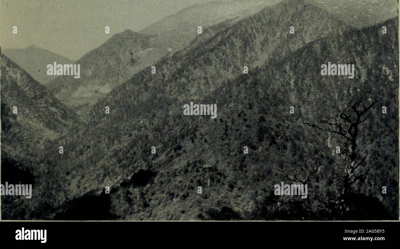 Imaw bum hi-res stock photography and images - Alamy