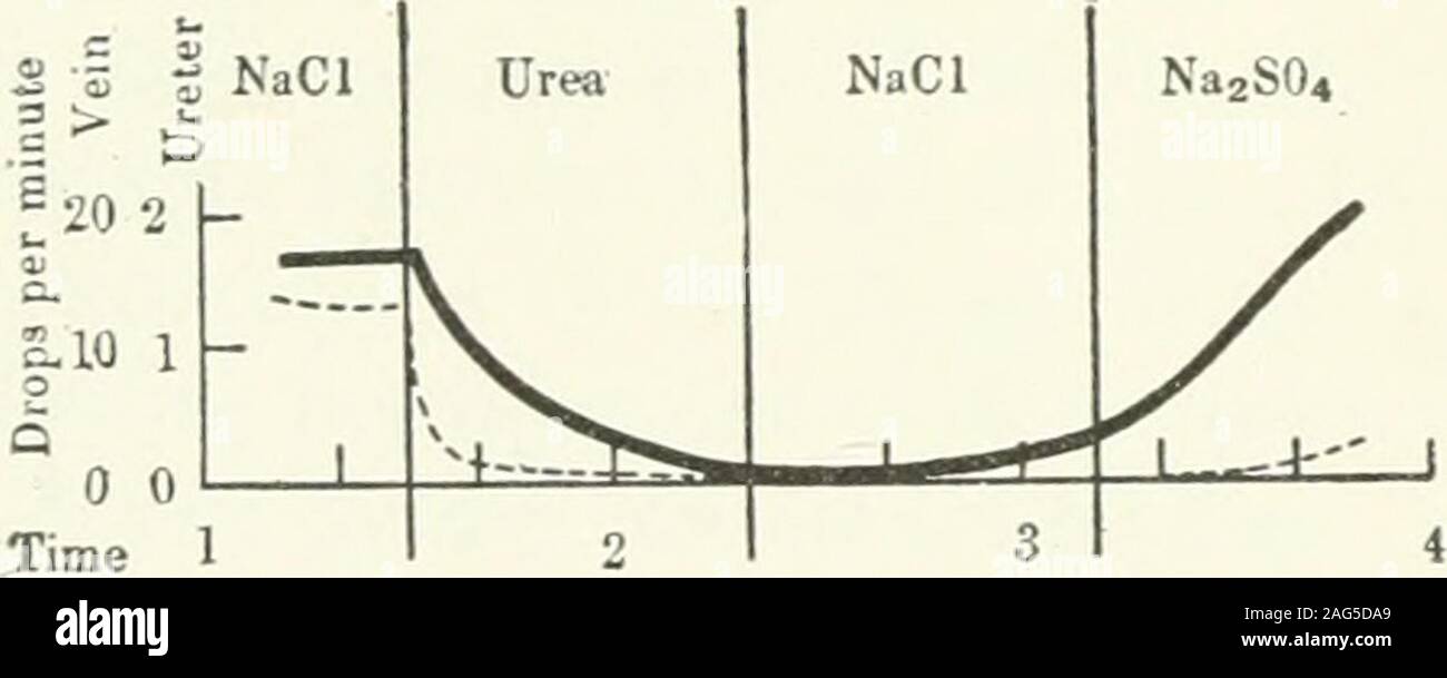 67 percent hi-res stock photography and images - Alamy